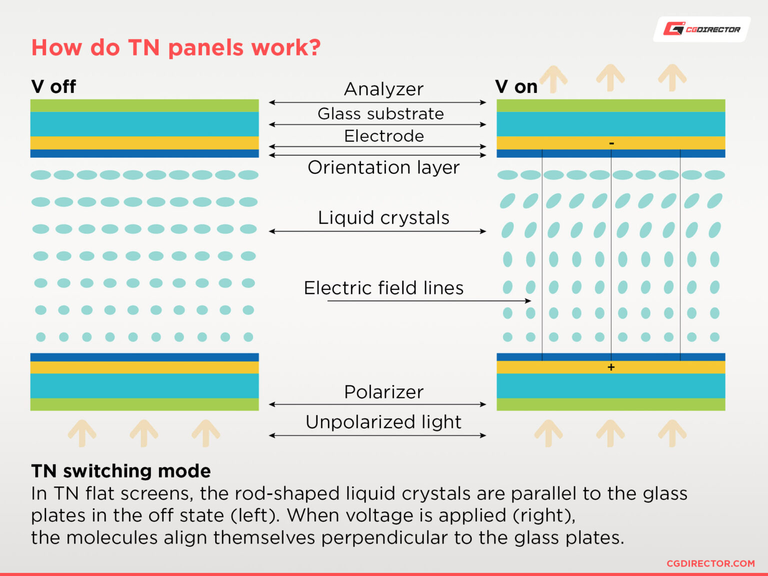 Display Panel Comparison - IPS vs TN, VA, OLED, CRT & More