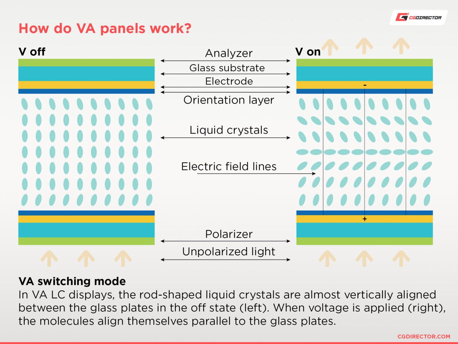 Display Panel Comparison - IPS vs TN, VA, OLED, CRT & More